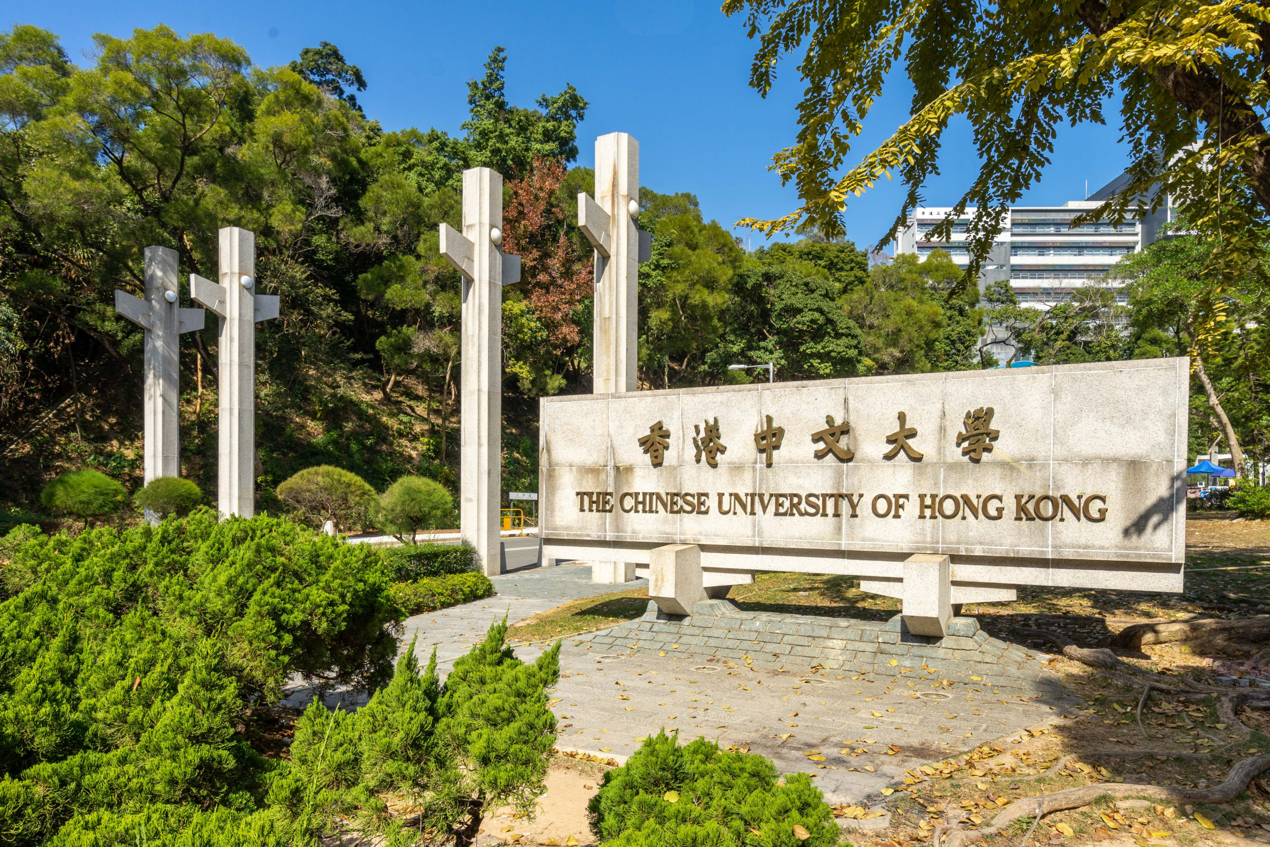 The Chinese University Of Hong Kong The World 100 The Chinese University Of Hong Kong The World 100