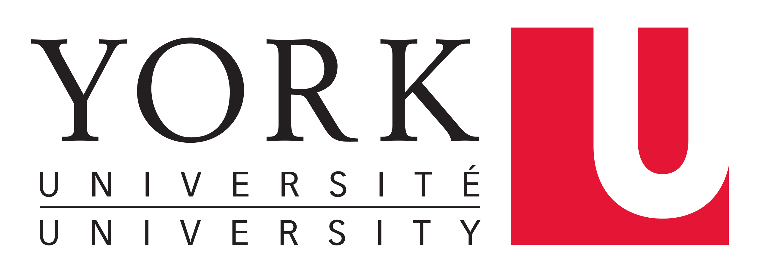 York University - The World 100
